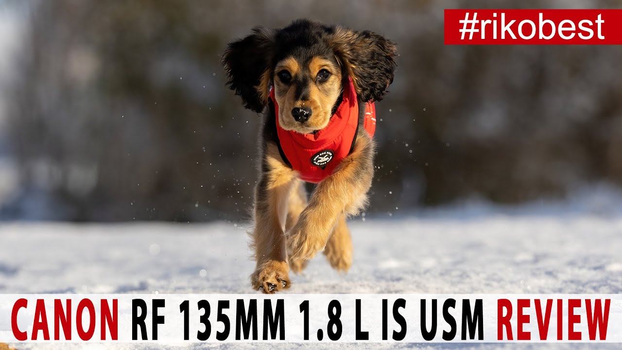 CANON RF 135 f1.8L IS USM im Test mit der R6 Mark II. Wie gut ist die ...