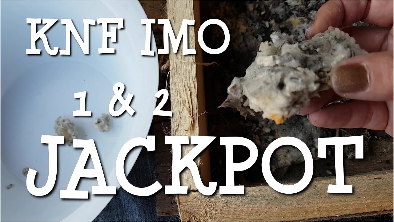 My first KNF IMO 1 attempt and I hit the JACKPOT !!! (and then a ...