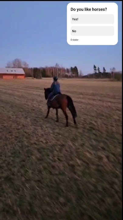Do you like horses? #horse #equestrian - YouTube