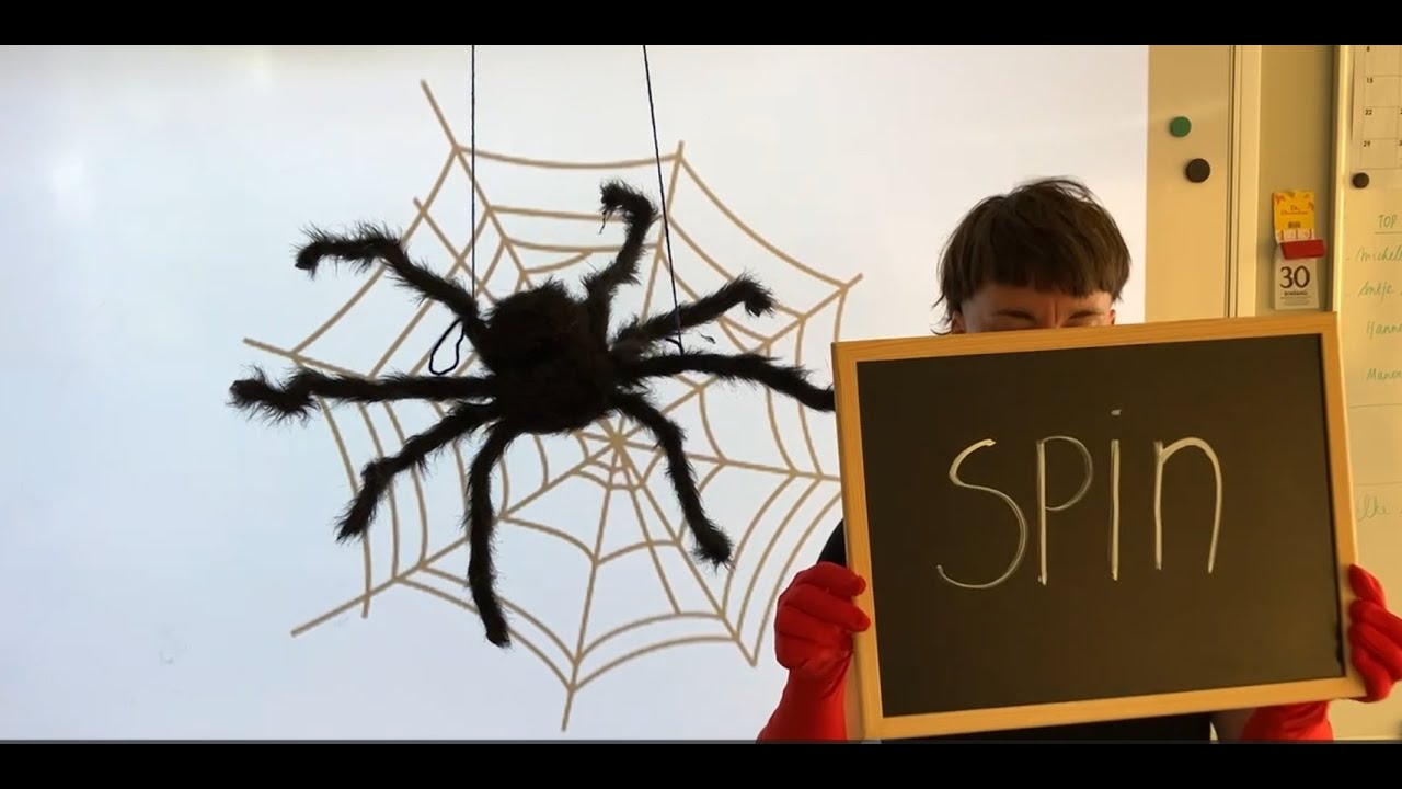 Sebastiaan de spin - YouTube