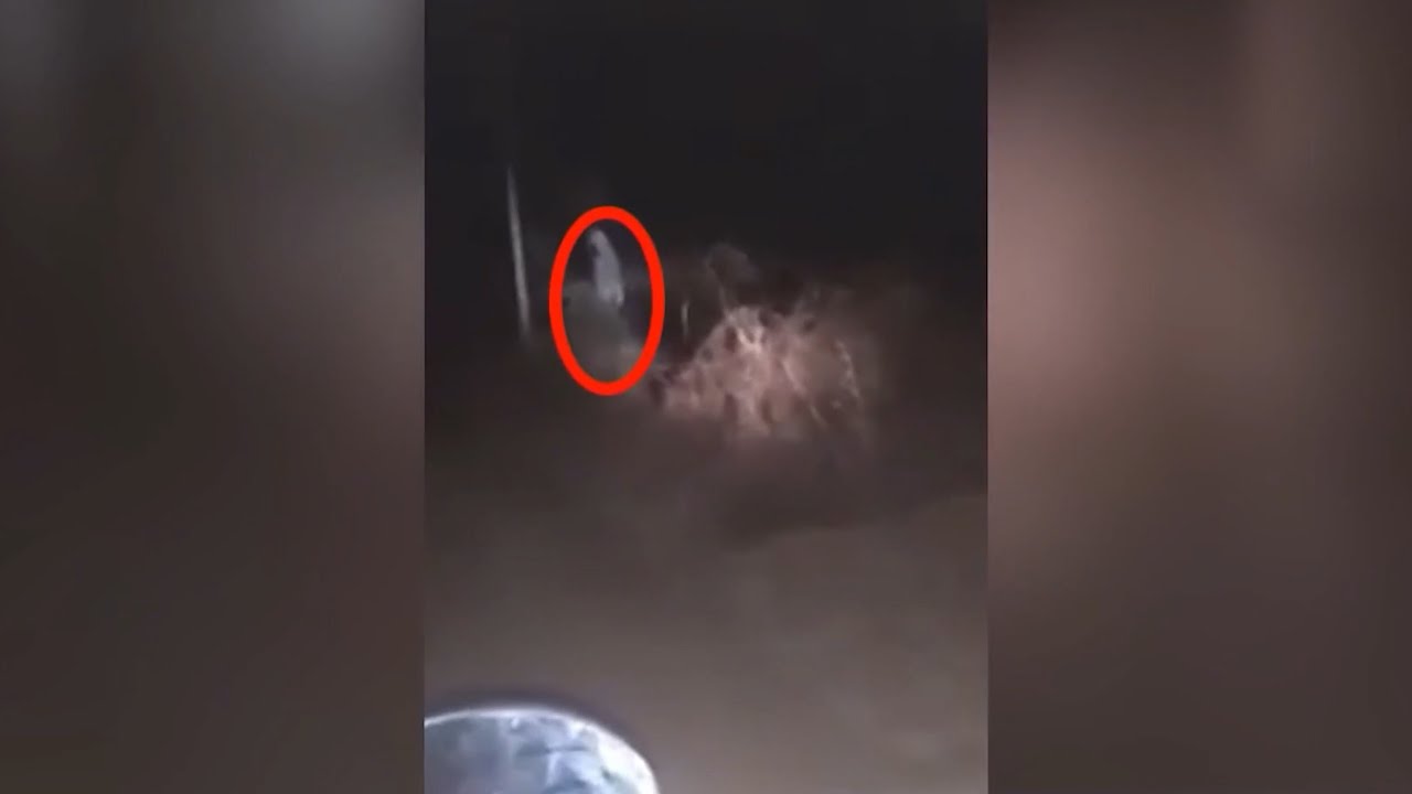 Freaky Videos That Will Leave You Shaking in Fear - YouTube