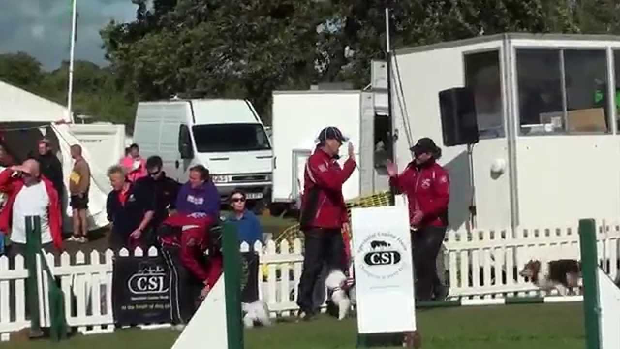 KC International Agility Festival 2014 - YouTube