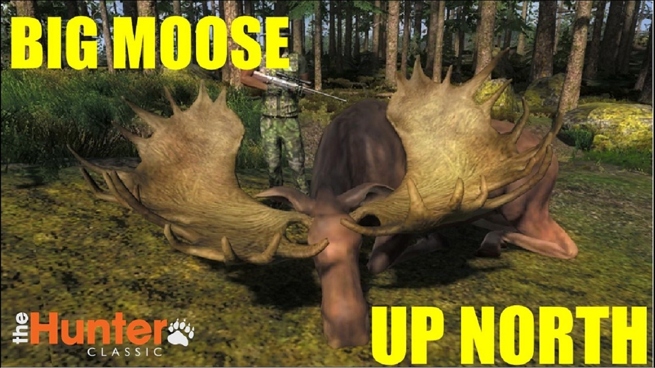 Big Moose UP NORTH - YouTube