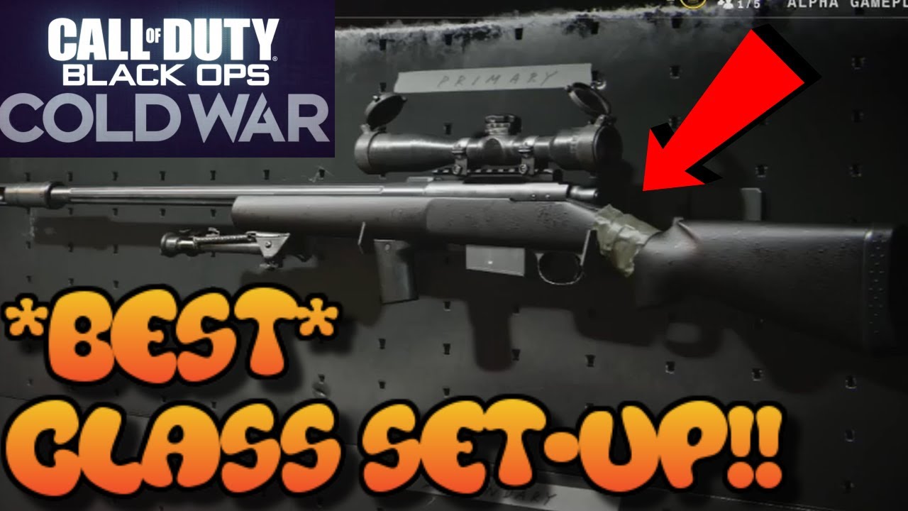 *BEST* BETA PELINGTON SNIPER SETUP !! Black Ops Cold War Pelington ...