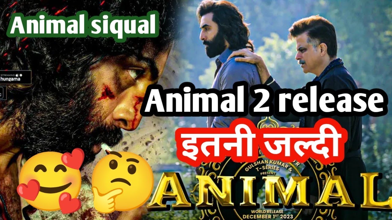 will animal movie have part 2 | Animal part 2 release date | is animal ...
