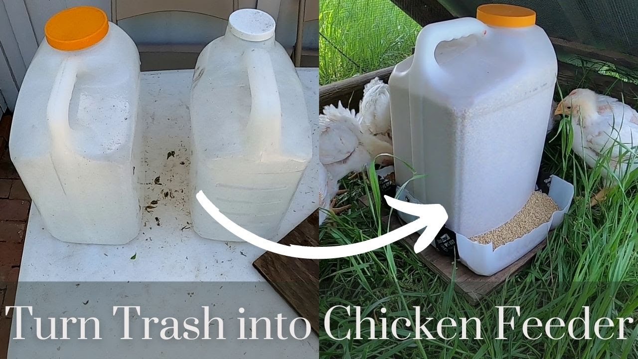 FREE Chicken Feeder! Make This DIY Gravity Chicken Feeder from Trash ...
