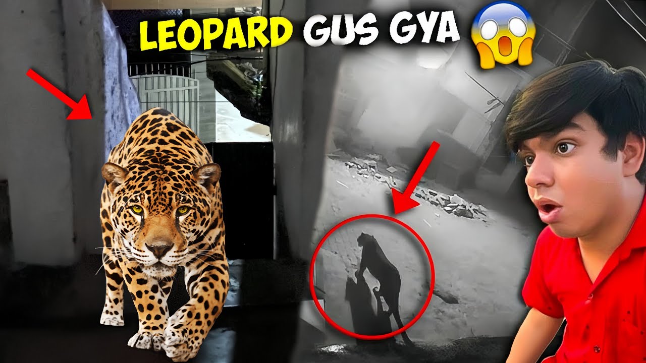 Leopard Society Mein Gus Gya 😱 | Please Help 🙏 - YouTube