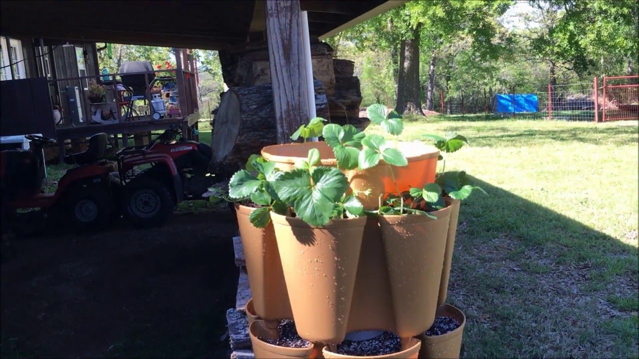 GreenStalk Stackable Garden System Review ~ FANTASTIC ! - YouTube