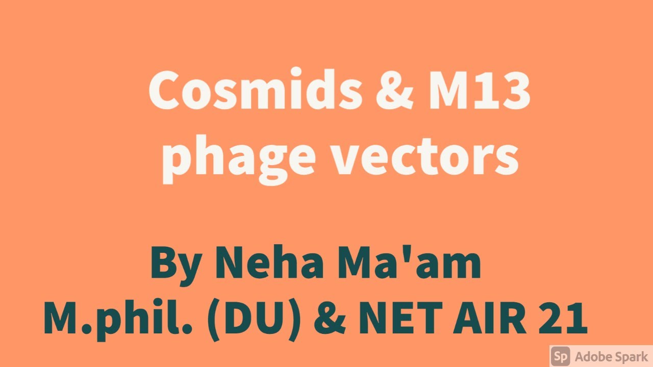 Cosmids & M13 phage Vectors - YouTube