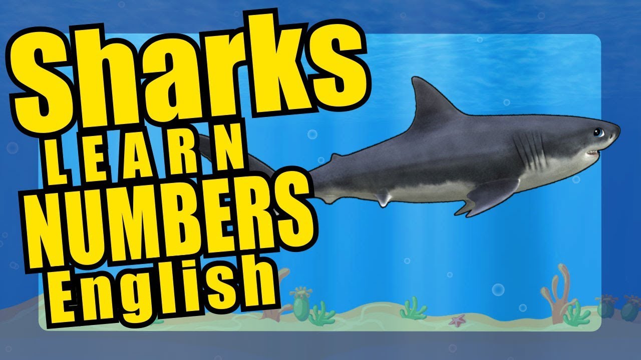 Numbers Sharks Parade - YouTube
