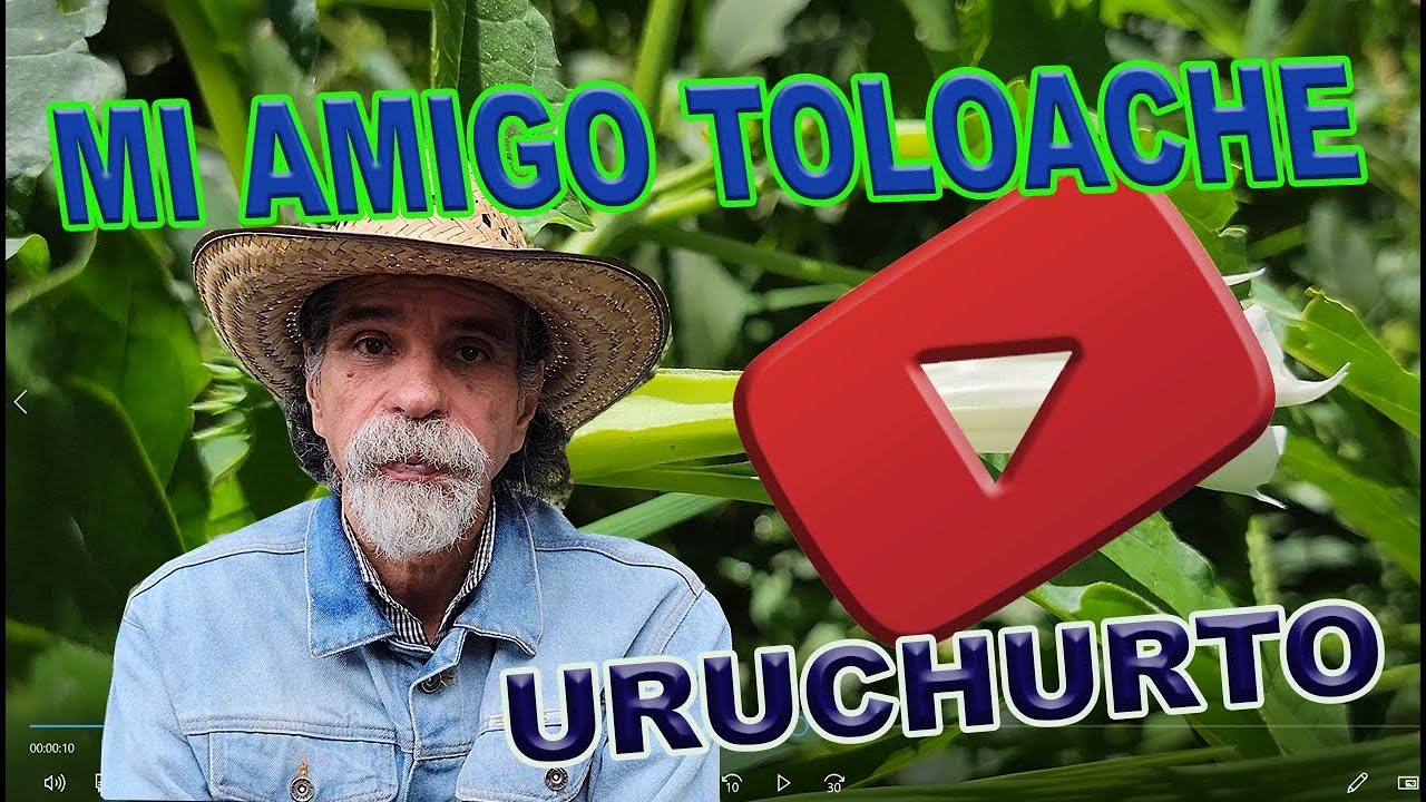 MI AMIGO TOLOACHE - YouTube