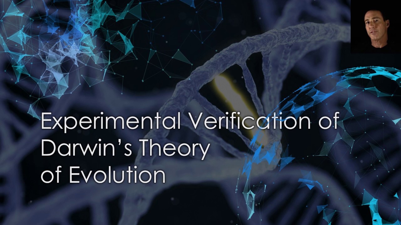 Experimental Verification of Darwin's Theory of Evolution - YouTube