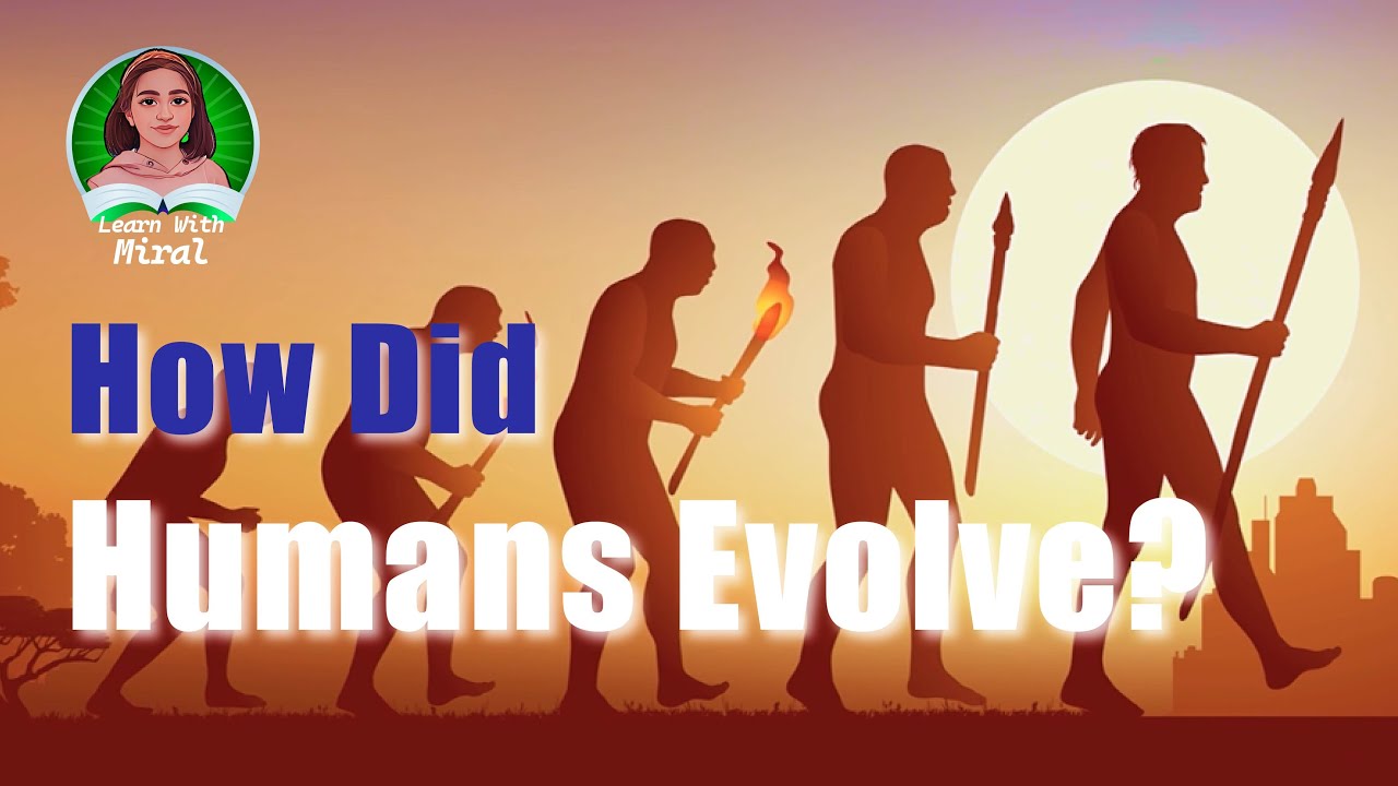 The Evolution of Homo Sapiens #homosapiens #humanevolution - YouTube
