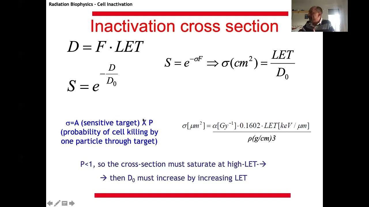 Lecture 7 part 3 Cell inactivation - YouTube