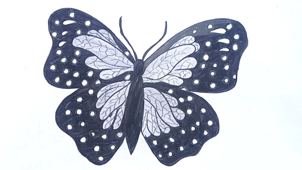 How to draw butterfly step by step | butterfly drawing easy | butterfly ...