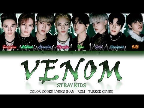 Stray Kids (스트레이 키즈) - Venom (거미줄) [Han - Rom - TÜRKÇE ÇEVİRİ] Color Coded Lyrics