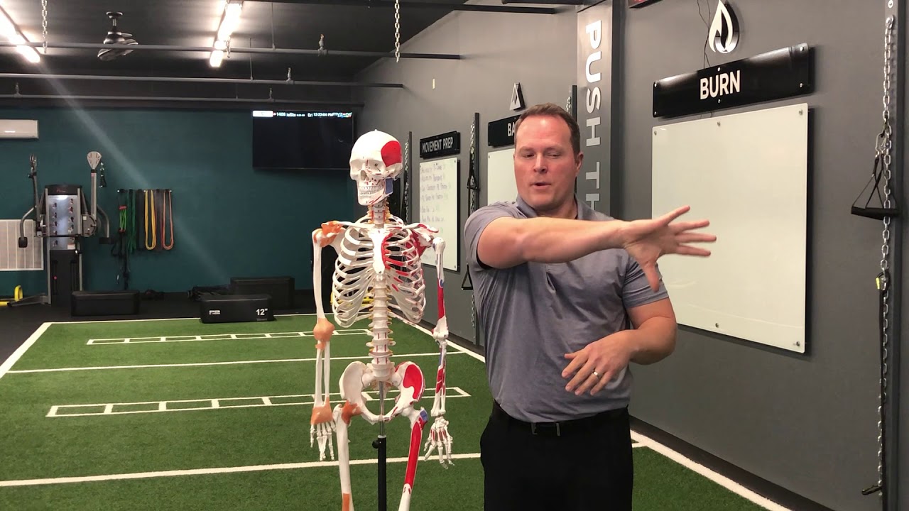 Self test you can do at home to see if you have a rotator cuff tear or ...