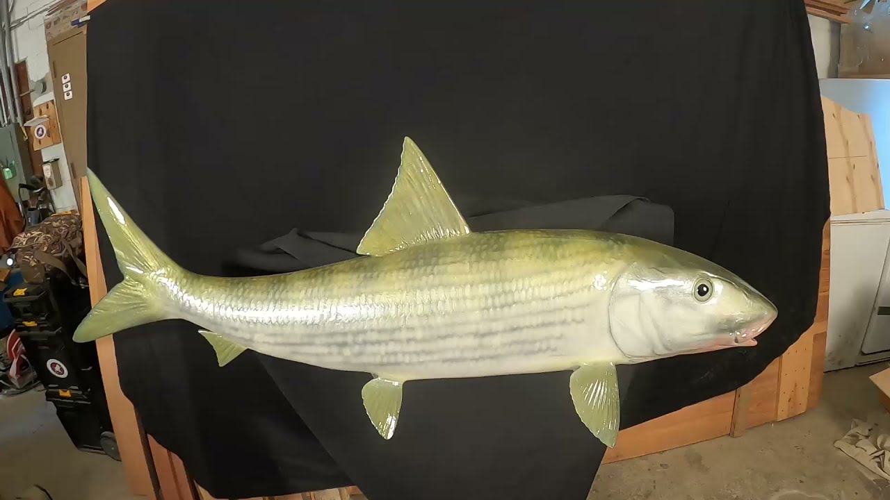 Painting a Bonefish reproduction | Replica Fish Taxidermy | Jonas ...