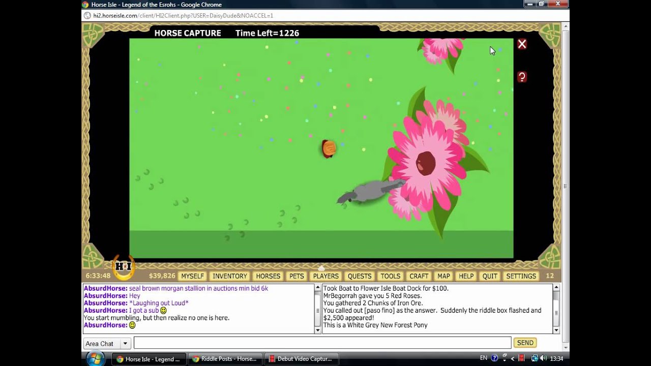 How to catch a wild horse on Horse Isle 2 - YouTube