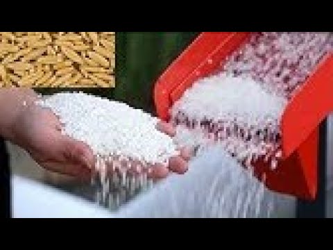 4IN1- RICE AND CORN MILL MACHINE WITH STONER AND DIRT SEPARATION SIEVE! NAPAKAMURA! | FUJIYAMA ...