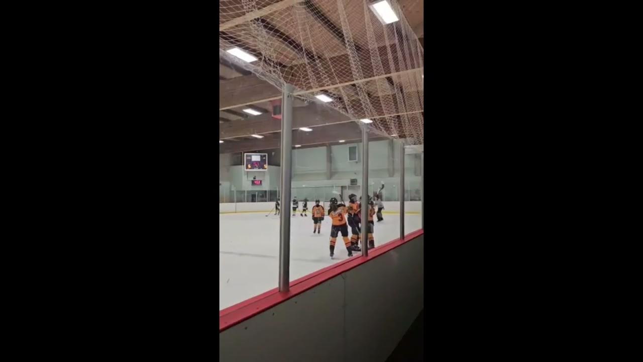 Hockey season highlights goals and assists 2024-2025 please subscribe! #viralvideo - YouTube