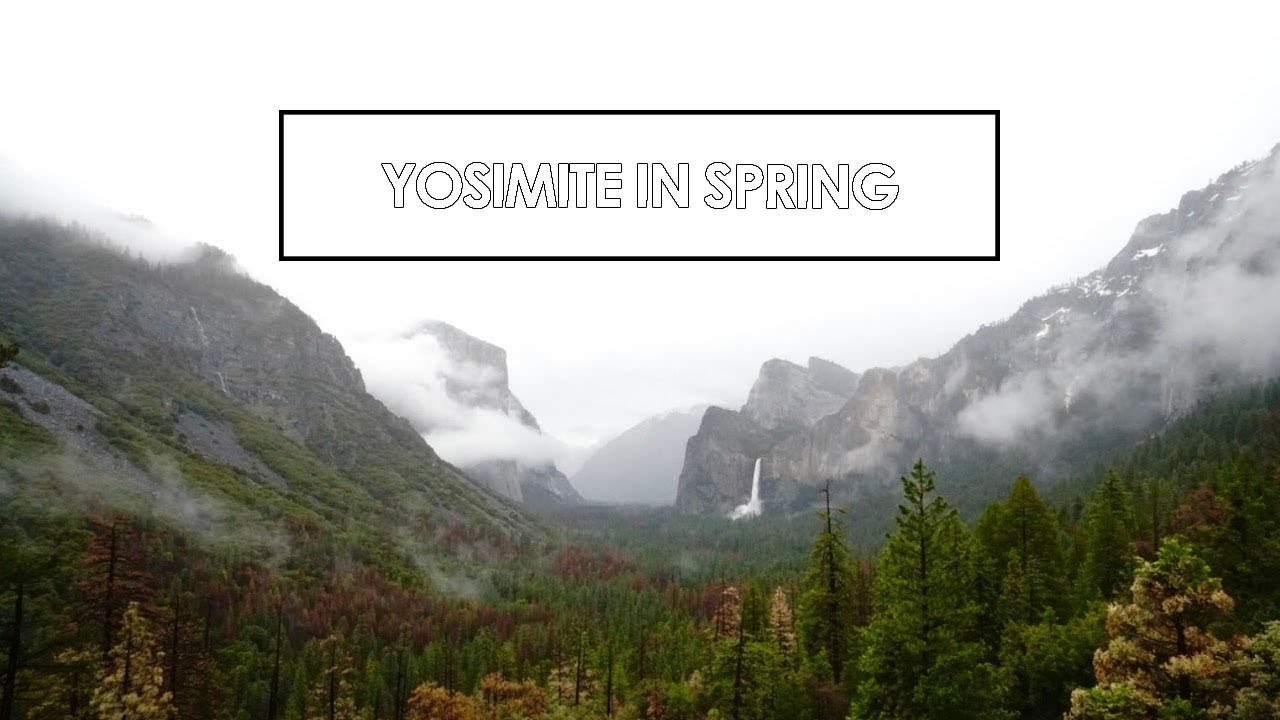 Driving into Yosemite National Park - USA - YouTube