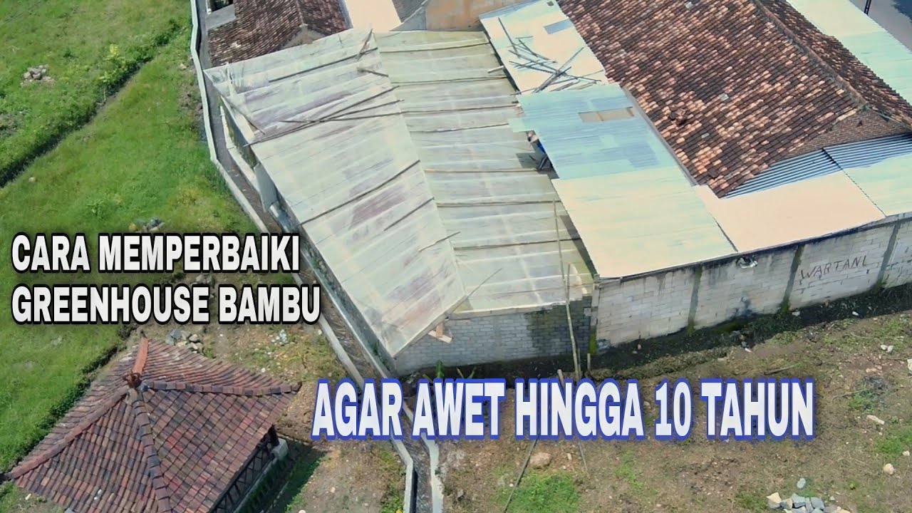 Cara membuat greenhouse bambu jadi awet hingga 10 tahun - YouTube