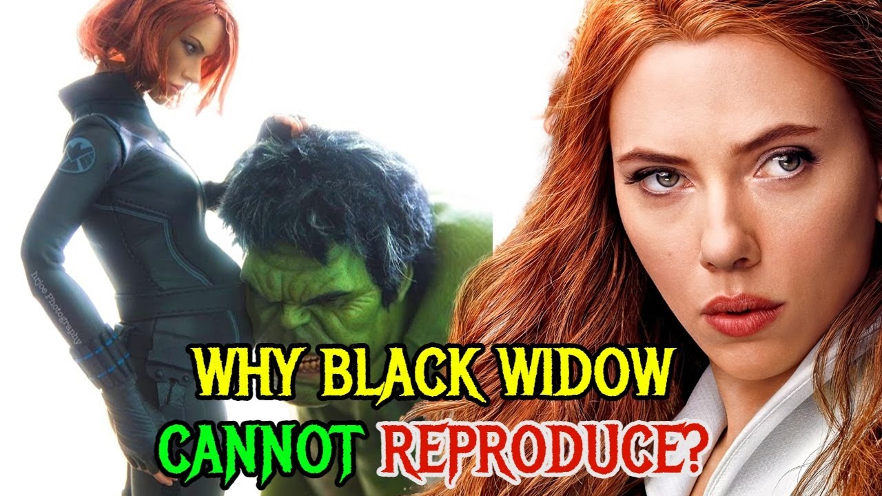 Black Widow Anatomy - Why Black Widow Can Never Reproduce? How They ...