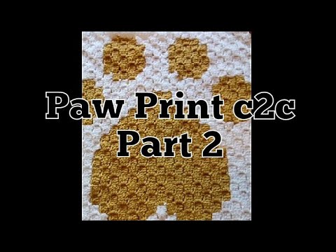 Unit 5 #2 - Paw Print Graph in c2c (Part 2) - Beyond the CAL - YouTube