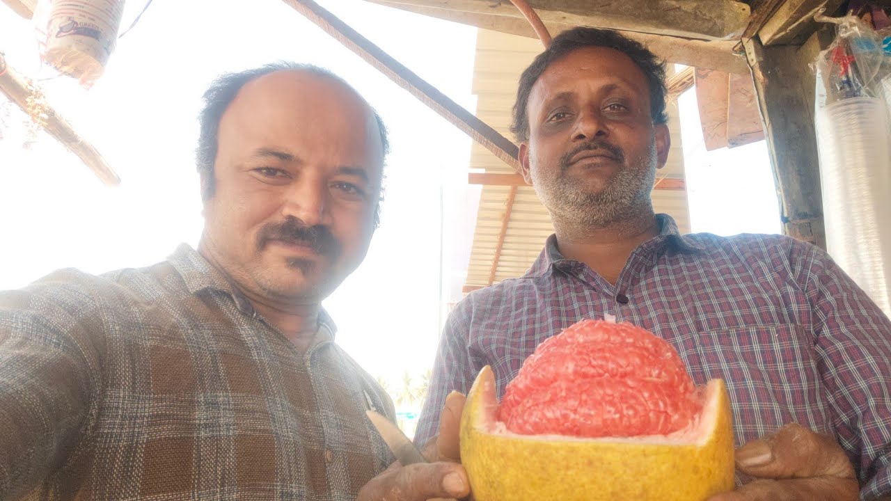 ದೇವನಹಳ್ಳಿ ಚಕೋತ‌ ಹೃದ್ರೋಗ, ತೂಕ ಇಳಿಸುವಿಕೆ, ಸಂಧಿವಾತಕ್ಕೆ ಒಳ್ಳೆಯದು ...