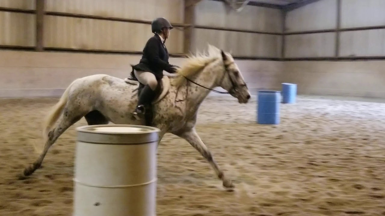 Pwha Childrens English Pleasure Class 1 - YouTube