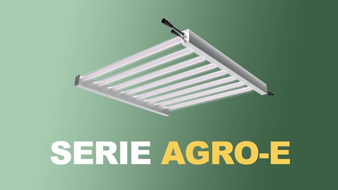 Panel LED serie AGRO-E para floración y crecimiento de Cannabis ...