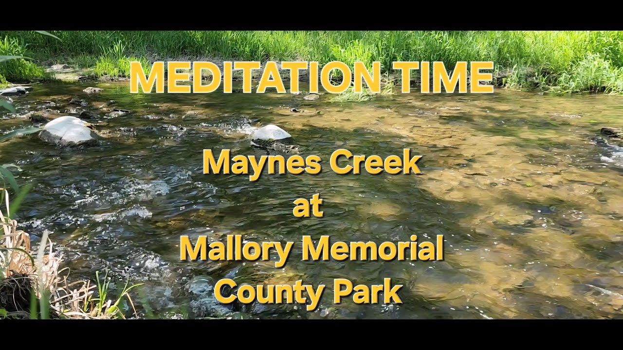 Meditation time by Maynes Creek at Mallory County Park - YouTube