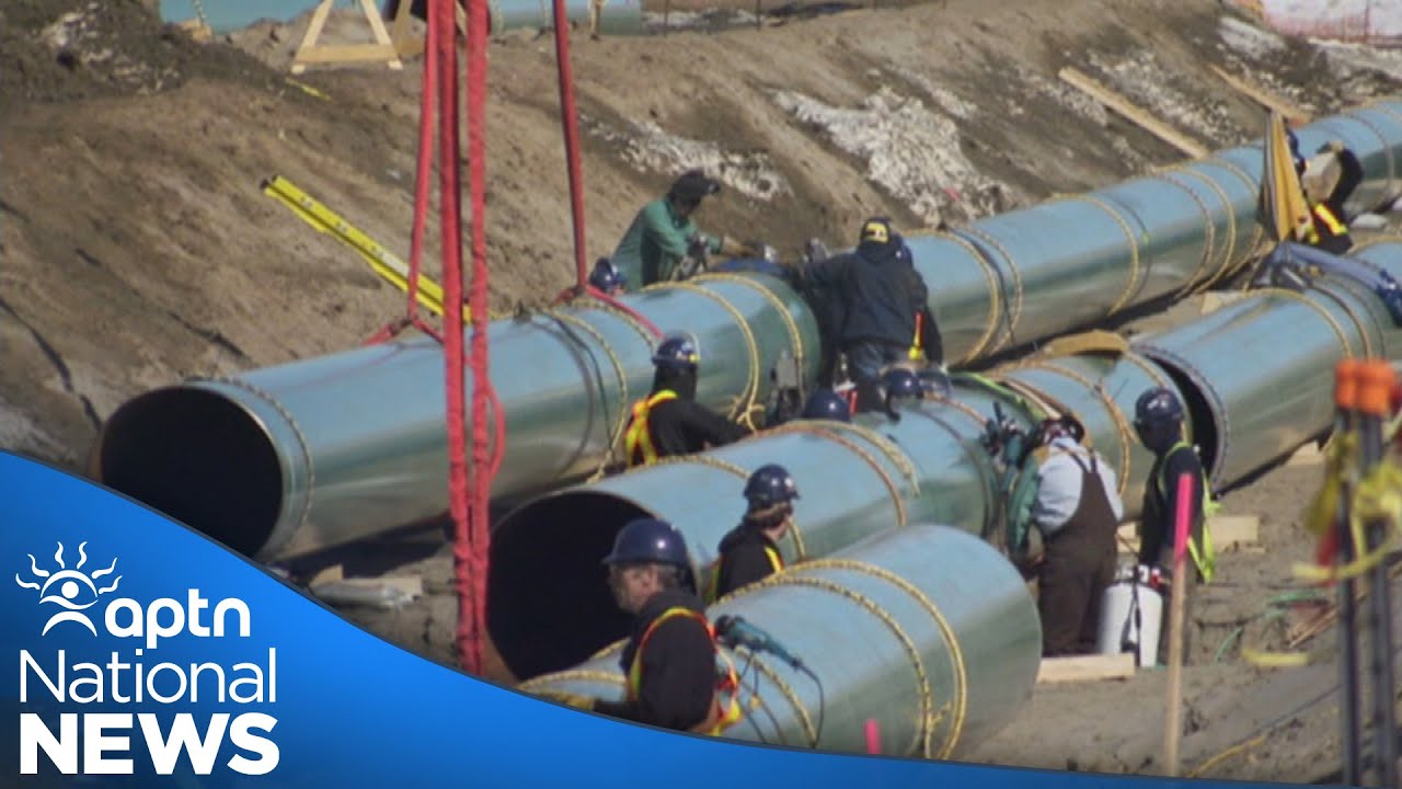Trumps says he wants to see Keystone XL pipeline built | APTN News ...