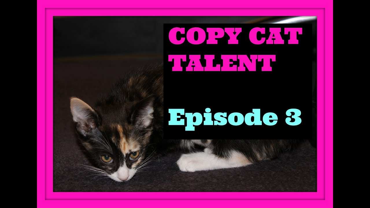 Copy Cat Talent - Episode 3 - YouTube