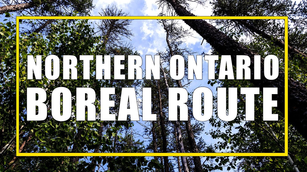 Northern Ontario Boreal Route: Experience One Of Northern Ontario's ...