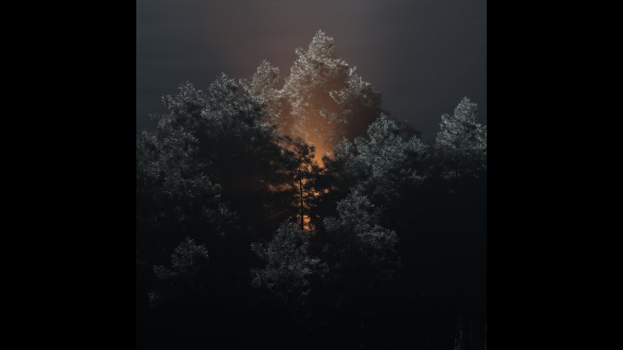 Cool Zone Forest Glow #Houdini #Redshift [Stream 2020 10 30] - YouTube