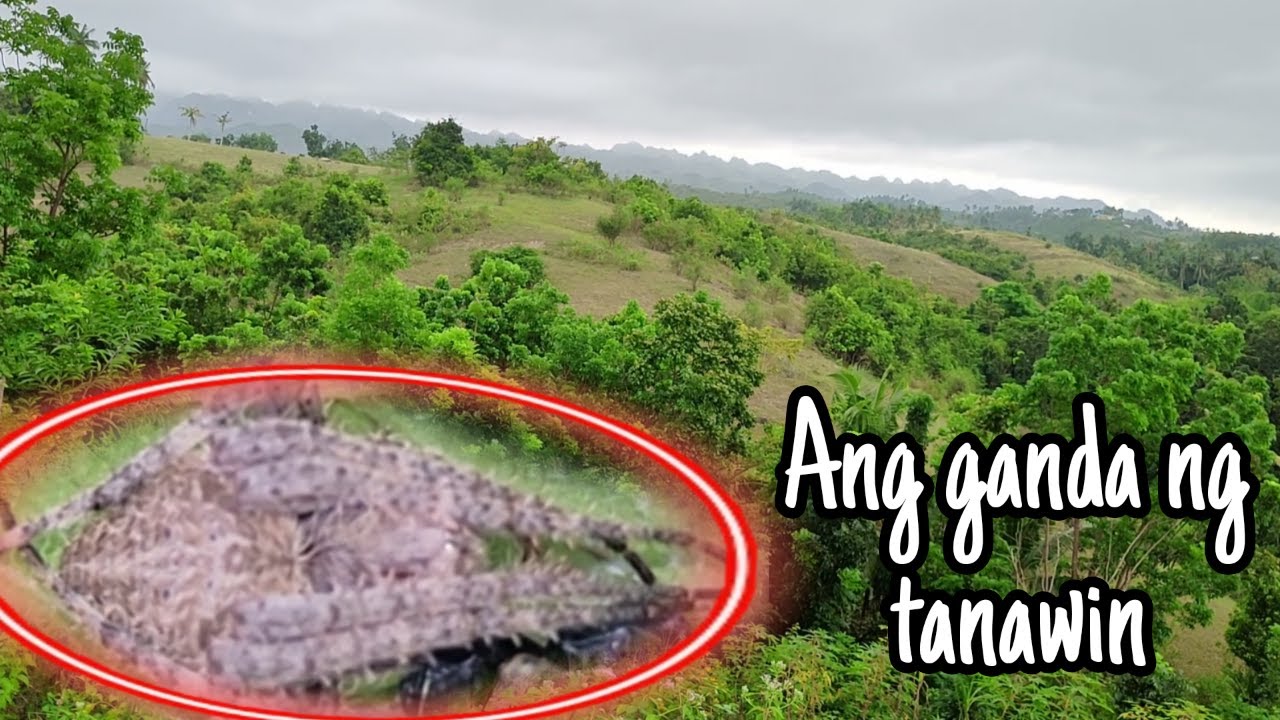 Spider Hunting / (Part 1) kahit maulan tuloy parin... - YouTube