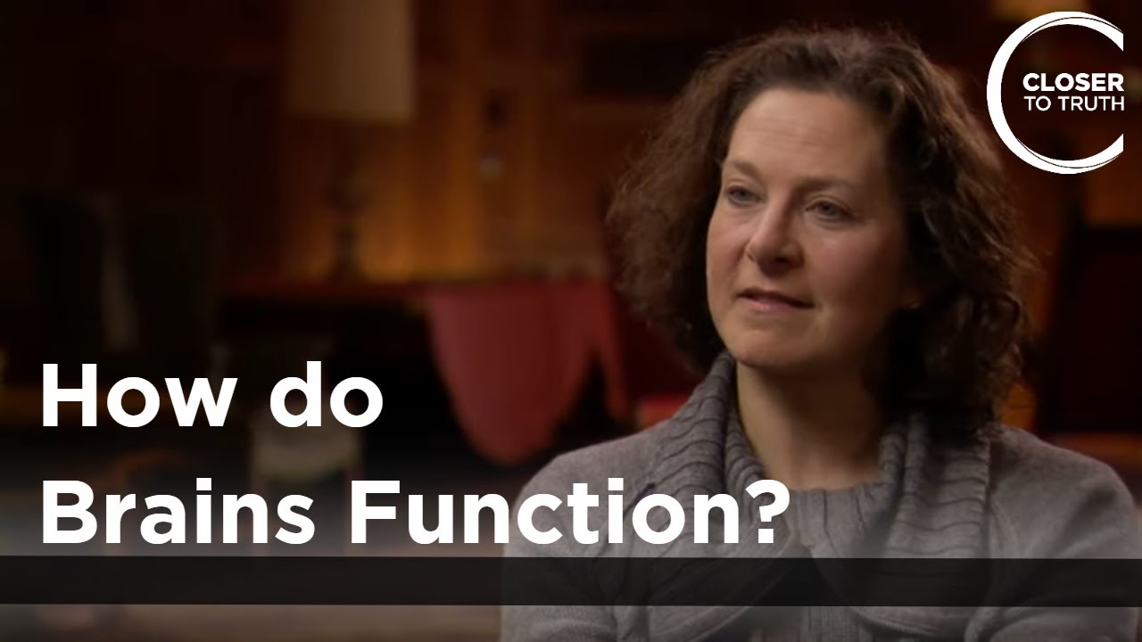 Adina Roskies - How do Brains Function? - YouTube