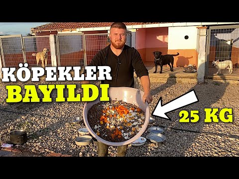 Köpeklerime Özel Yemek Ziyafeti Yaptım Çok Sevdiler 25 KG