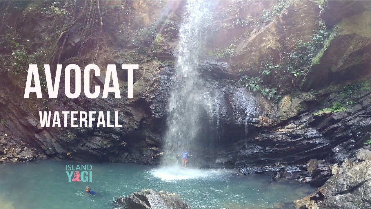 Avocat Waterfall, located in Blanchisseuse, Trinidad! - YouTube