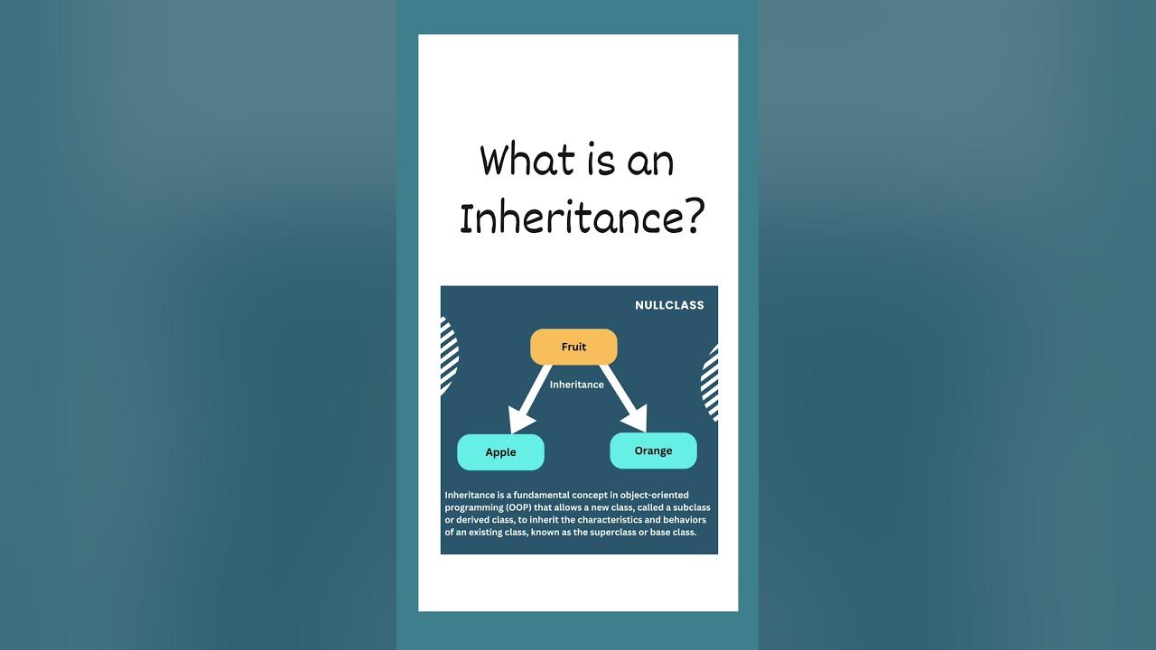 What Is An Inheritance Viral Objectorientedprogramming Basics Inheritance Nullclass Youtube