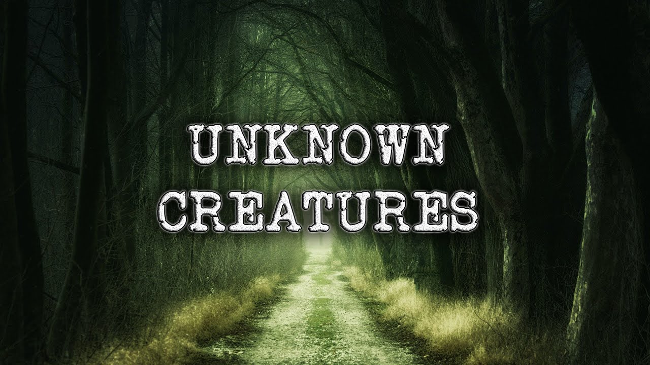 UNBELIEVABLE ENCOUNTERS with UNKNOWN CRYPTIDS - YouTube