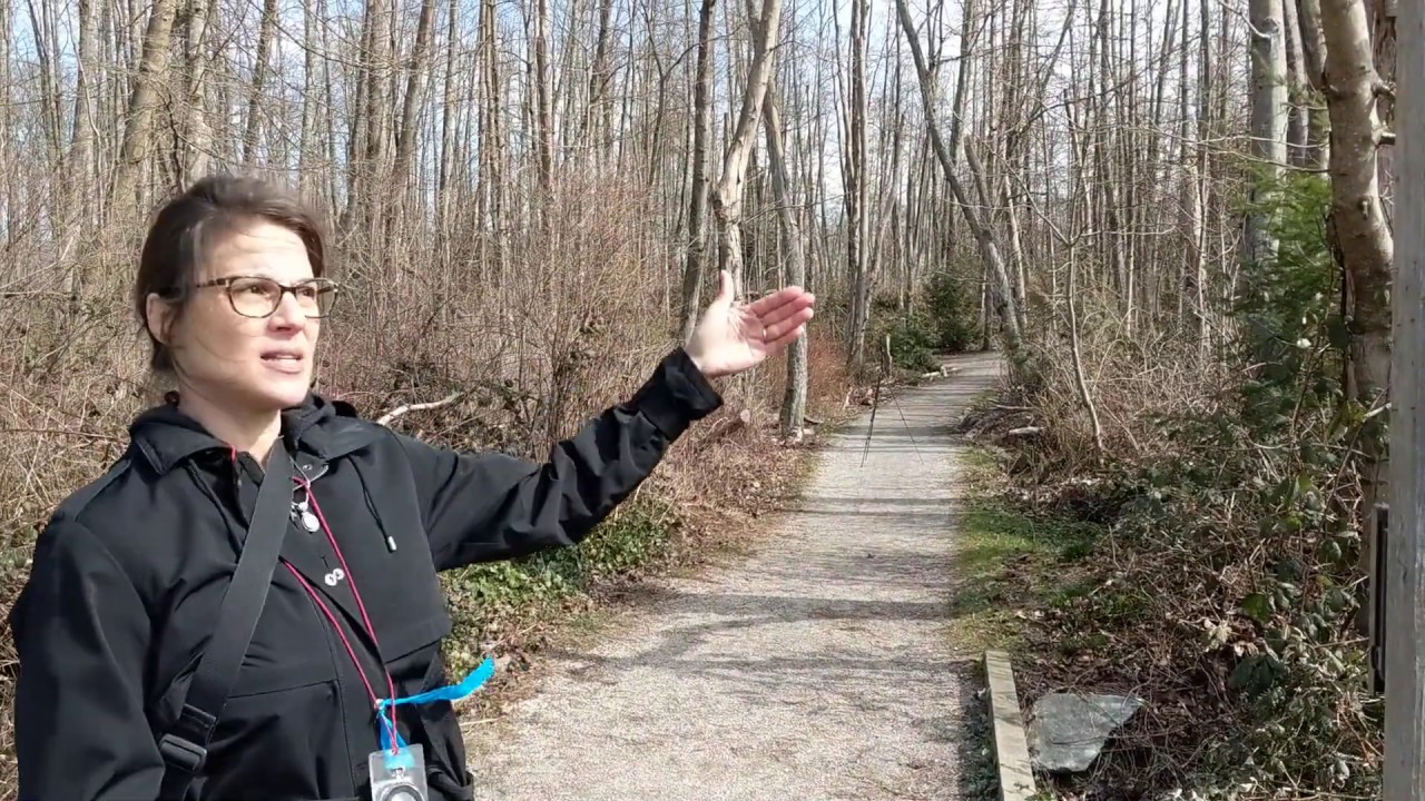 1 Introduction to Pacific Spirit Forest Tour along Spanish Trail - YouTube