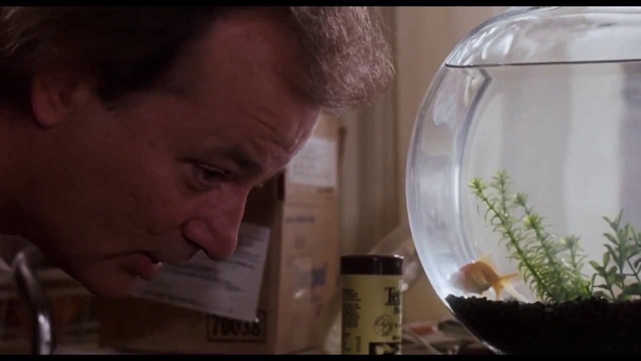 Bill Murray "Good Morning, Gil" - What About Bob (1991) - YouTube