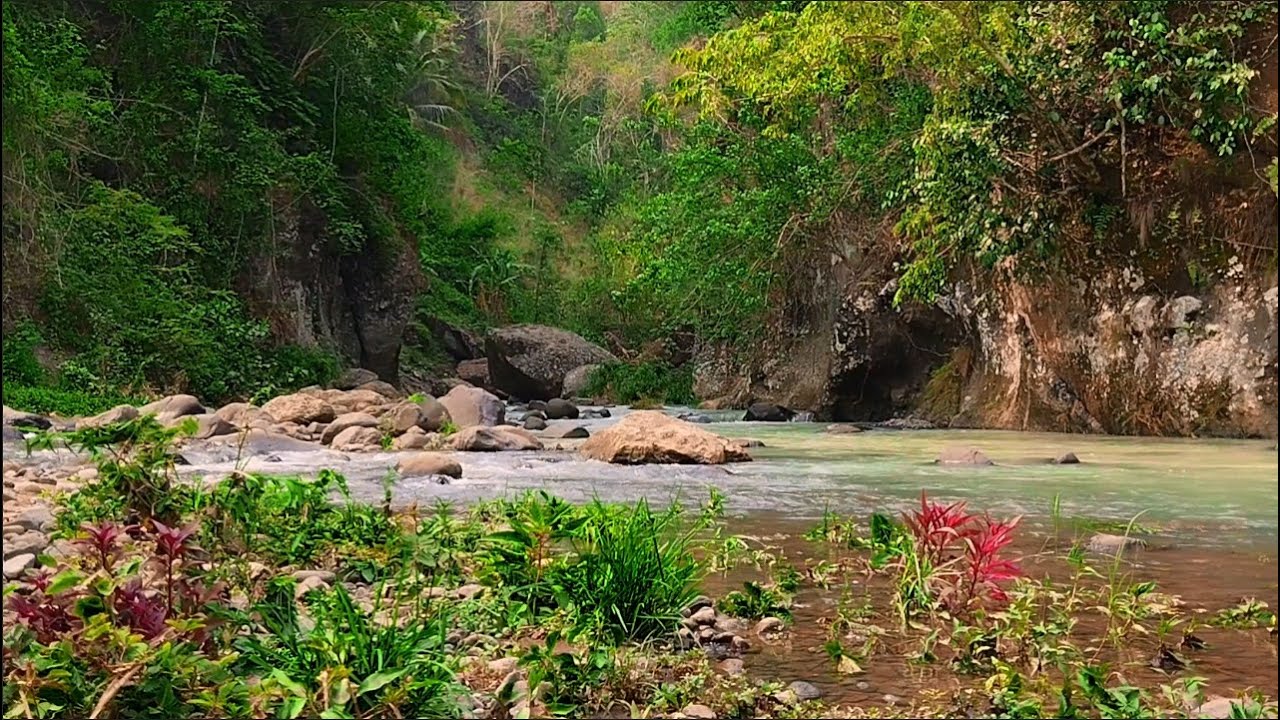 Healing River Sounds for Mental Therapy, Treating Anxiety & Peaceful ...