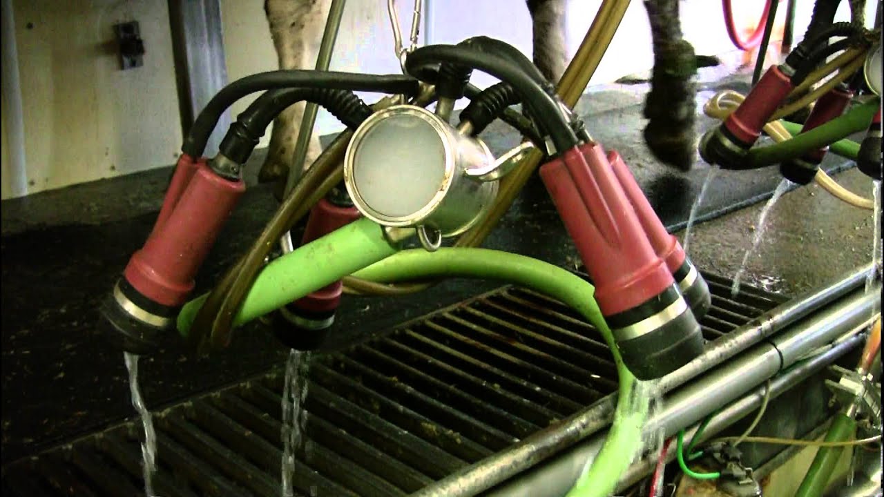 Backflush Valve - YouTube