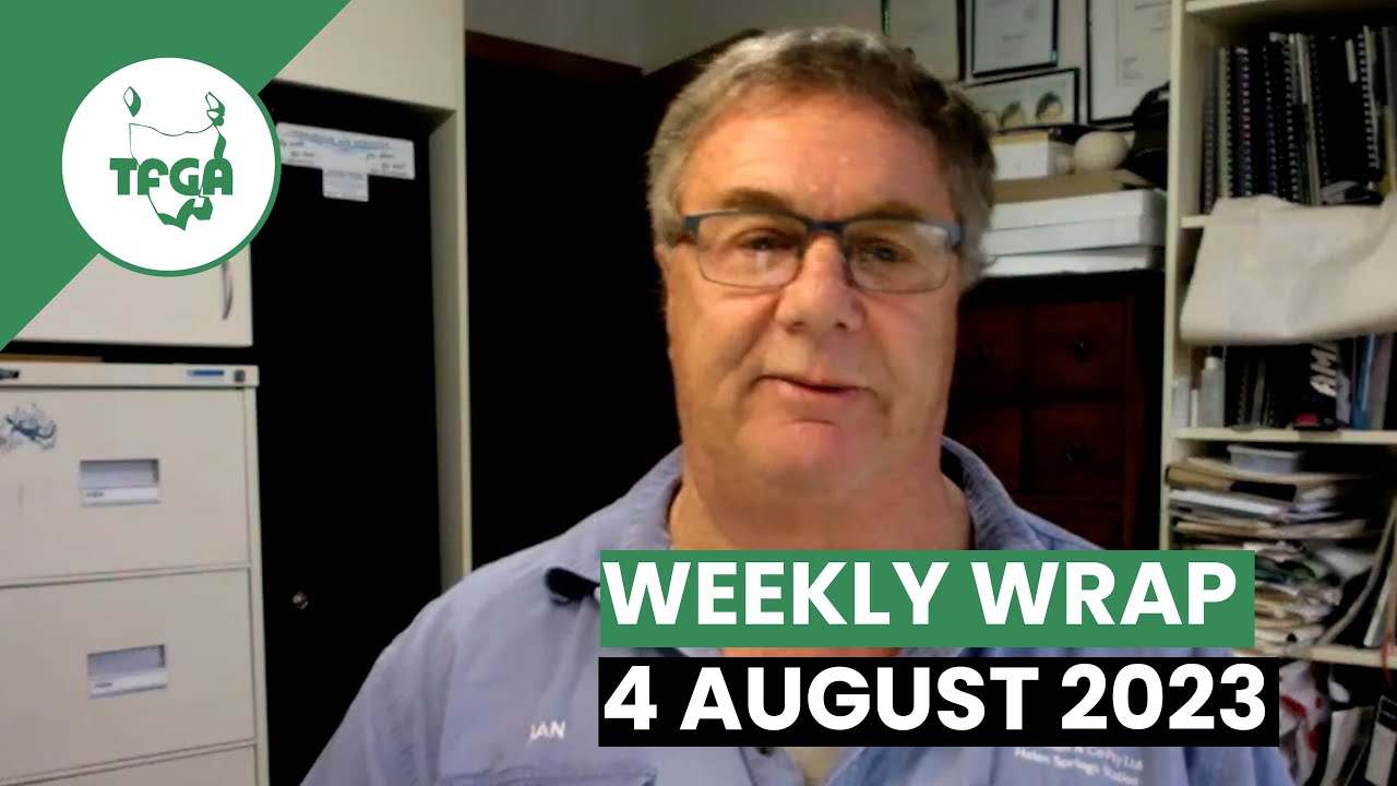 TFGA Weekly Wrap - 4 August 2023 - YouTube