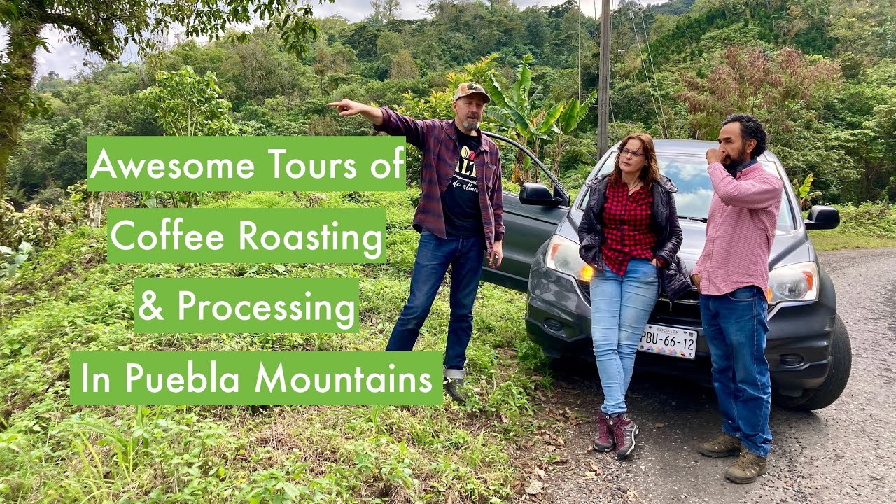 S3 E2 Puebla Coffee Processing & Roasting (Old School!) - YouTube