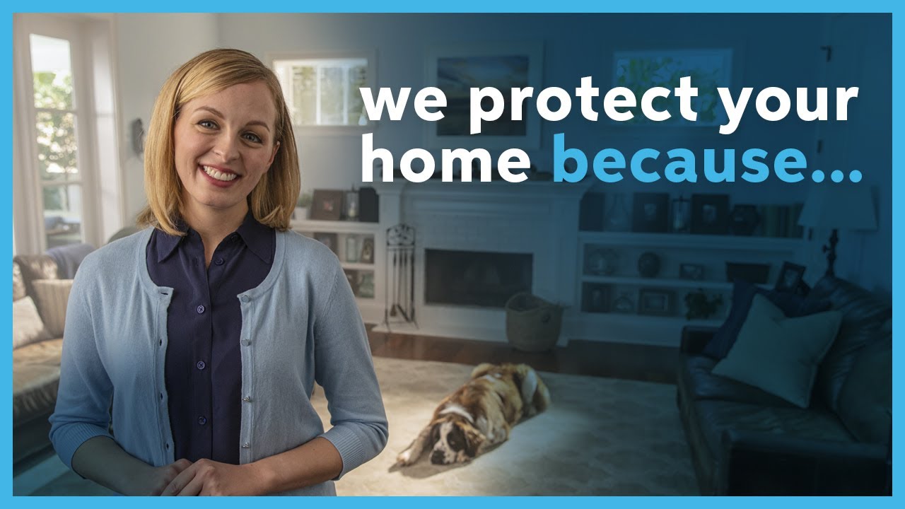 Home Insurance Commercial | Lazy Guard Dog | Auto-Owners - YouTube